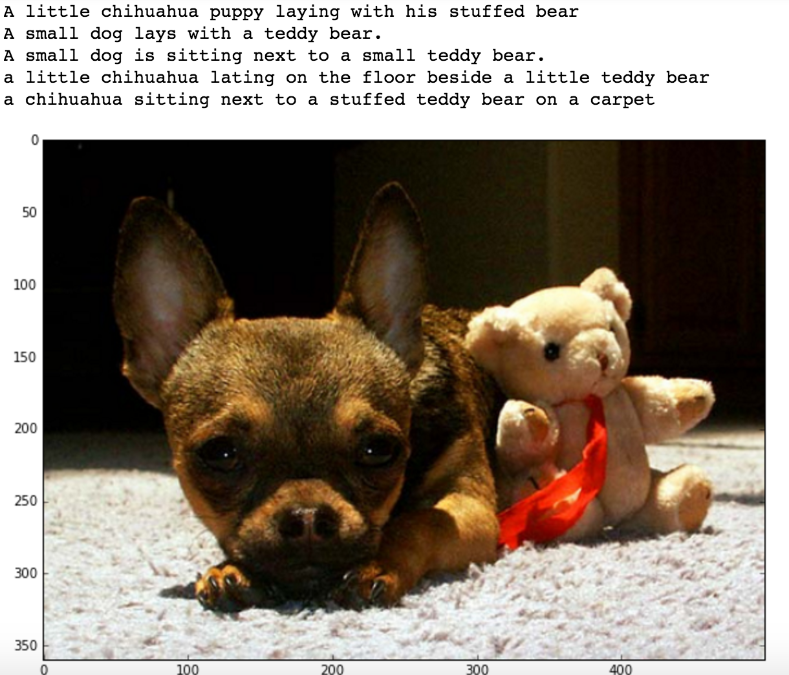 Microsoft COCO が提供するデータとAPIを使用すると画像解析が簡単に出来た #Python - Qiita