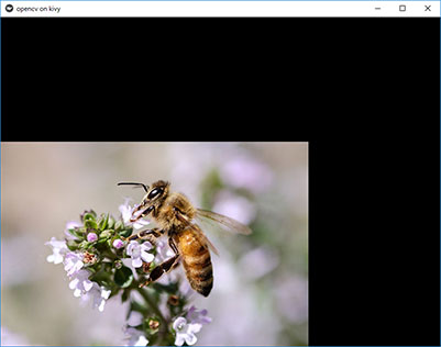 Python KivyでOpencvやPillowで画像を表示する方法 #OpenCV - Qiita