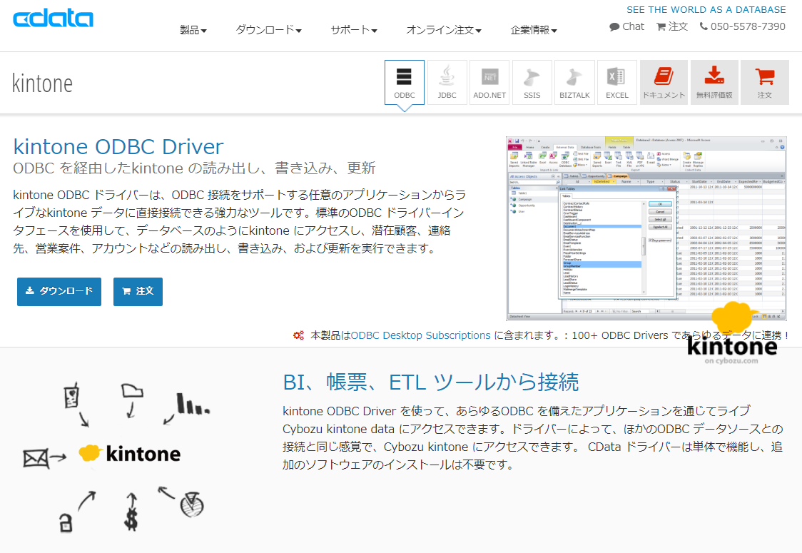 SQL Server にkintone リンクサーバーを作成、PowerBIやTableau からデータを参照 #SQLServer - Qiita