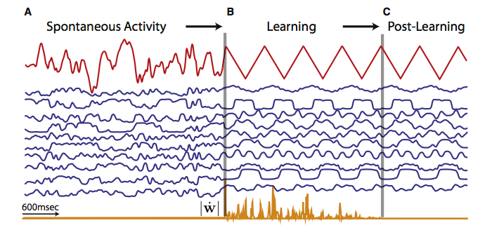 ちょっと変わったニューラルネットワーク Reservoir Computing #MachineLearning - Qiita