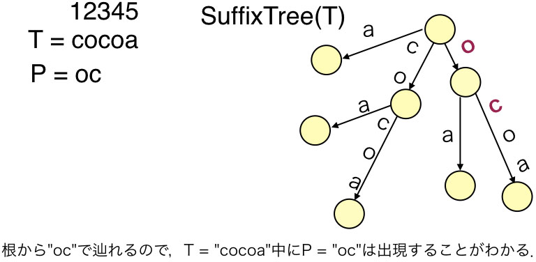 Suffix Tree + Suffix Array = Suffix Tray #データ構造 - Qiita