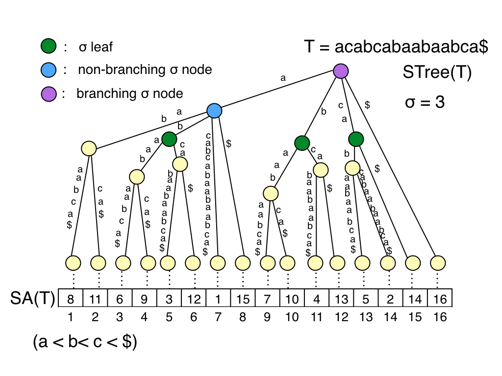 Suffix Tree + Suffix Array = Suffix Tray #データ構造 - Qiita