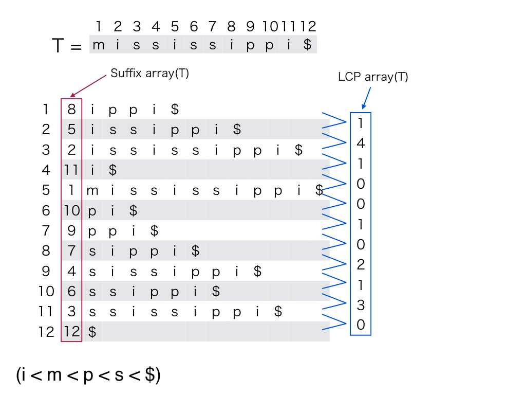 Suffix Tree + Suffix Array = Suffix Tray #データ構造 - Qiita