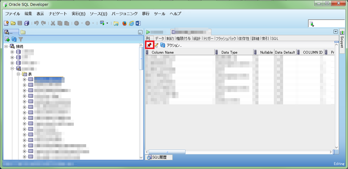 Oracle SQL Developer Tips #oracle - Qiita