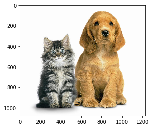 VoTTを使って超お手軽に画像のタグ付け～ChainerCVのデータセット変換まで #Python - Qiita