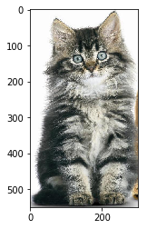 VoTTを使って超お手軽に画像のタグ付け～ChainerCVのデータセット変換まで #Python - Qiita