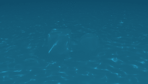 webgl-waterのコースティクス解説 #WebGL - Qiita