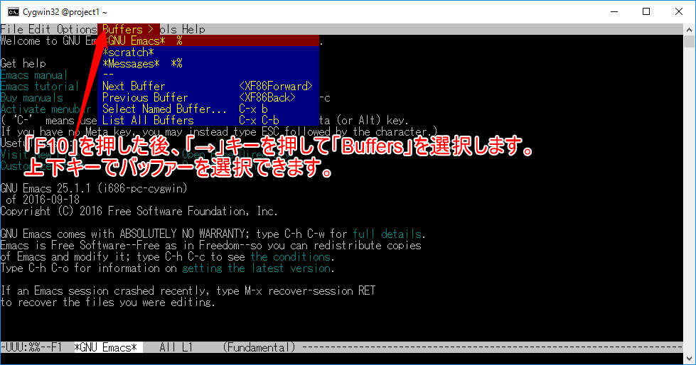 Cygwin では emacs パッケージではなく emacs-w32 パッケージをインストールしましょう！ #Linux - Qiita