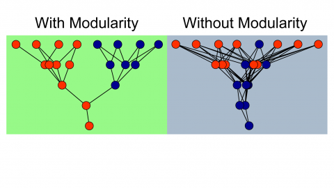 Modularized Morphing Of Neural Networks #ML - Qiita