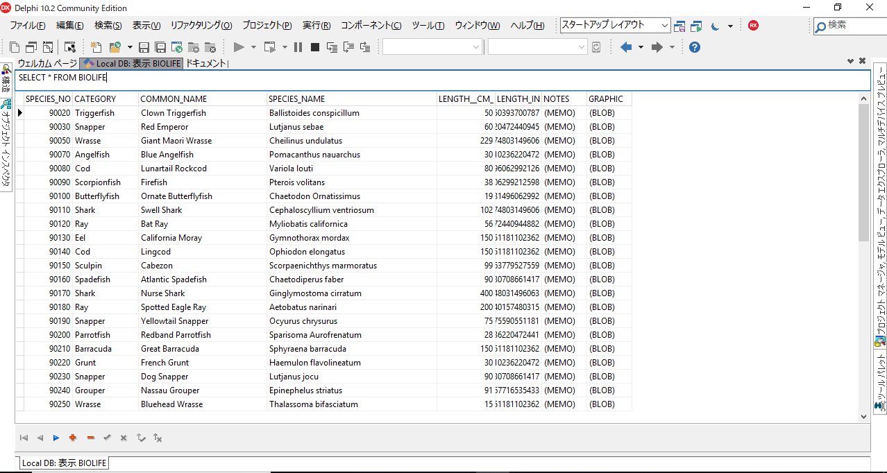 Delphi Community Edition Meet up ! - データエクスプローラ編 #Database - Qiita