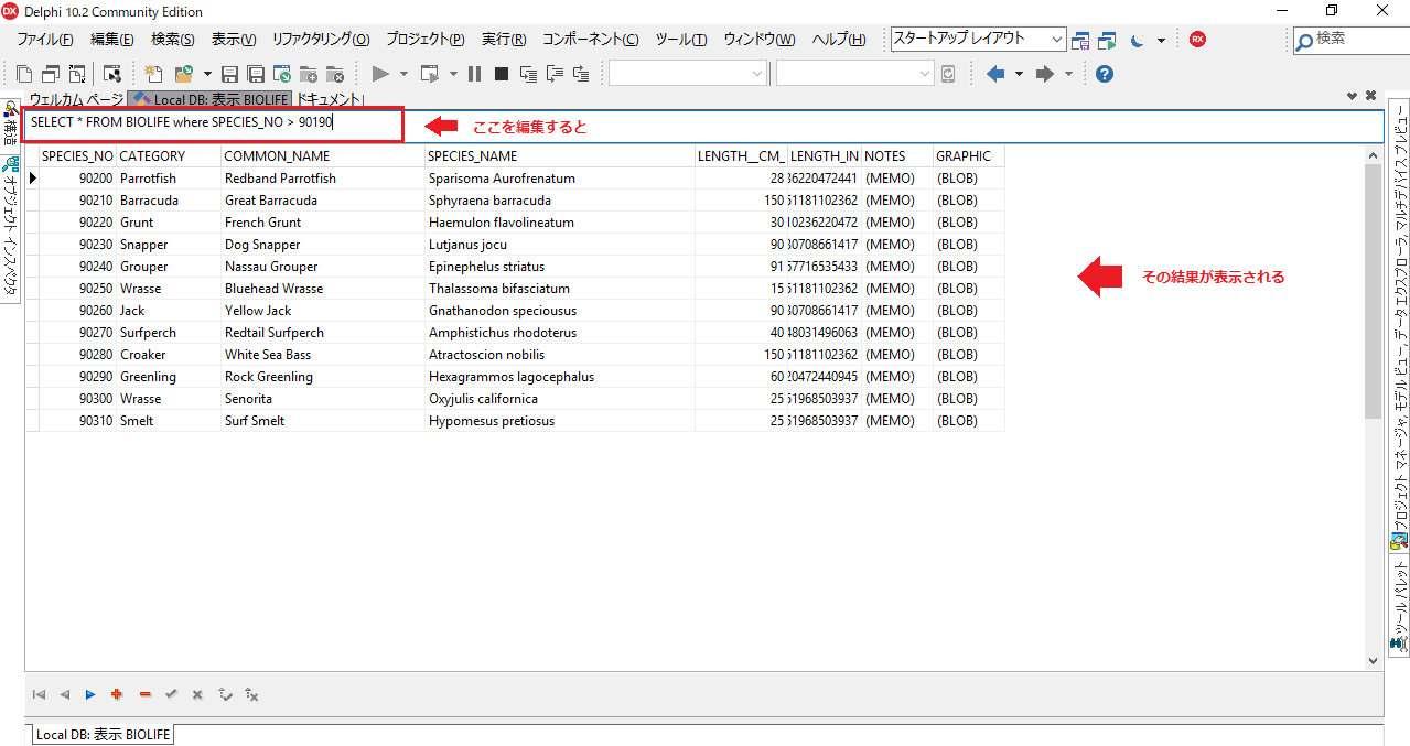 Delphi Community Edition Meet up ! - データエクスプローラ編 #Database - Qiita