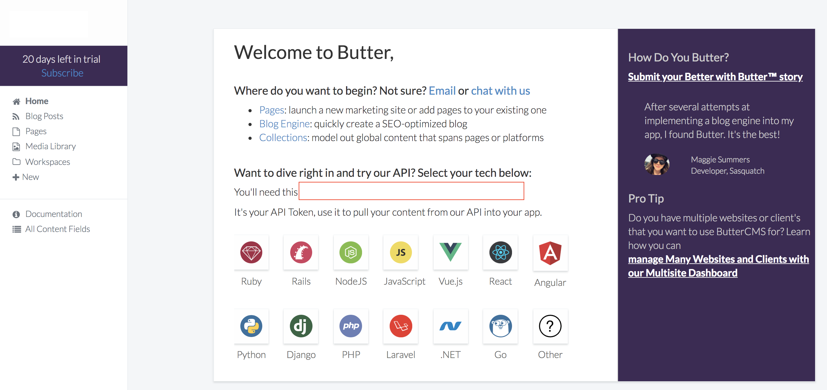 [Vue.js] ブログ作ってみました #butterCMS - Qiita