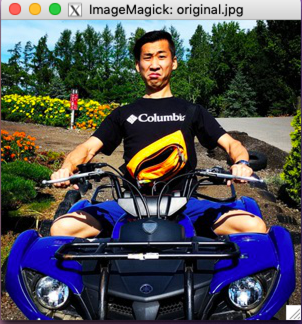 Imagemagickで2値化してみた #ImageMagick - Qiita