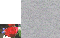 ImageMagick Gravity 指定 #ImageMagick - Qiita