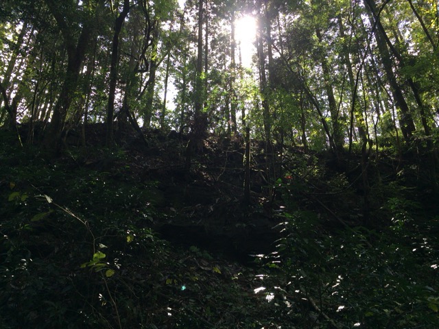 ImageMagick で Equalize (ヒストグラム平坦化) #ImageMagick - Qiita