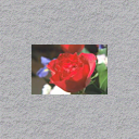 ImageMagick Gravity 指定 #ImageMagick - Qiita