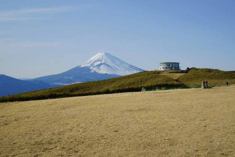 ImageMagick と WebP #ImageMagick - Qiita