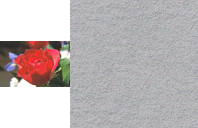 ImageMagick Gravity 指定 #ImageMagick - Qiita