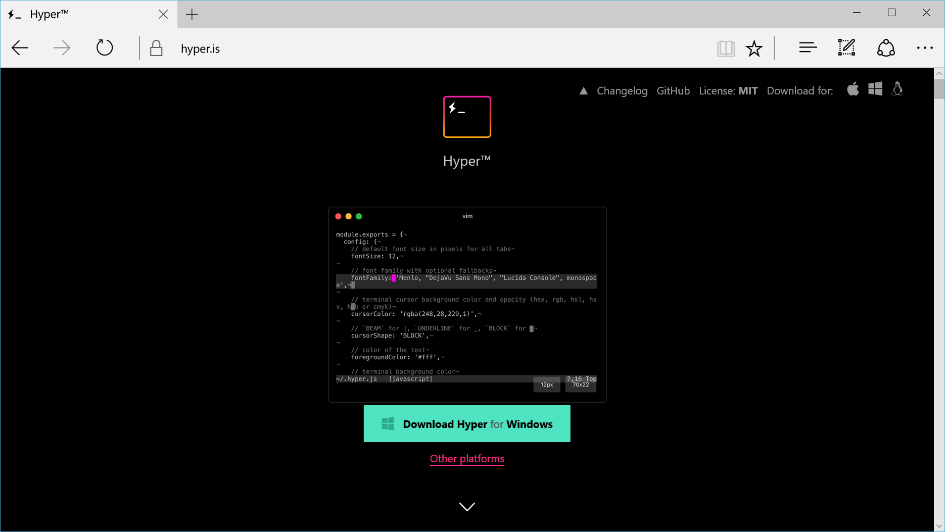 速報・HyperのWindows版でbashを動かす #Terminal - Qiita