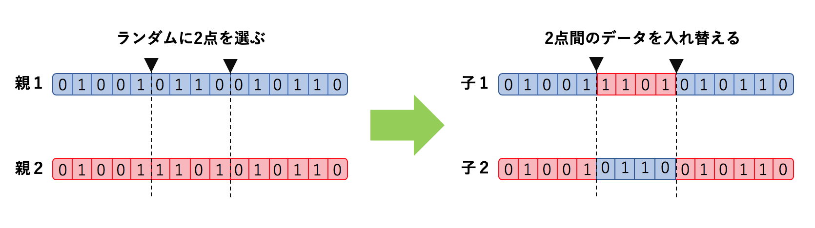 遺伝的アルゴリズムと遺伝的プログラミングを自力で実装して理解する Javascript Qiita