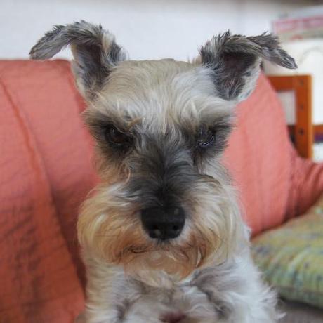 EclipseのWTPでTomcatのcontext.xmlを切り替える方法 - Qiita