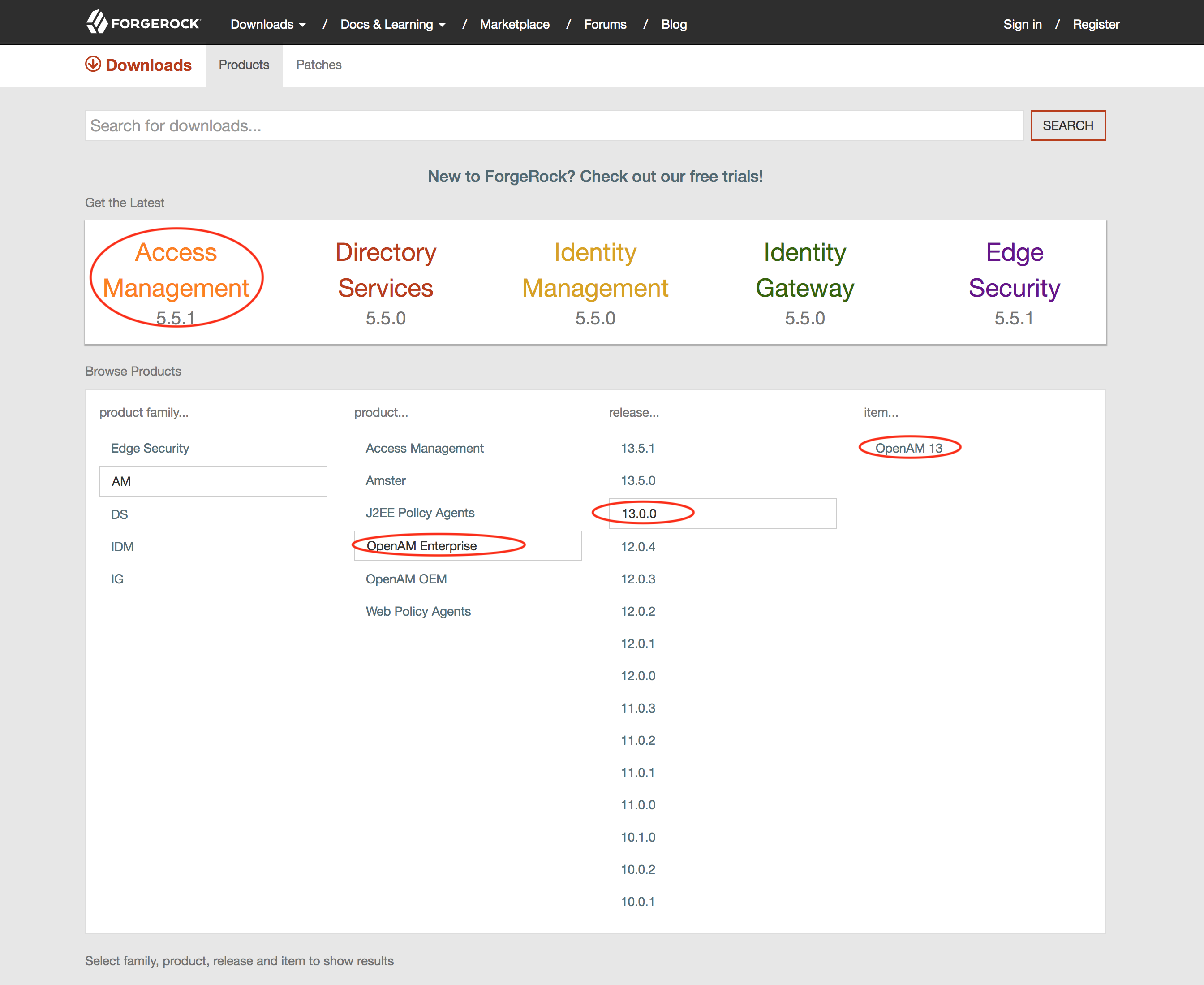WebSphere＋OpenAMのSAML SSO環境構築（1/3）（IdP構築編） #LDAP - Qiita