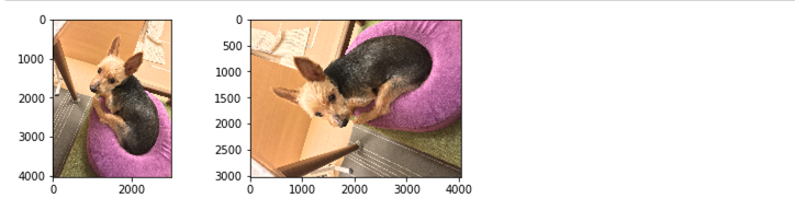 メモ：OpenCVやPillowでの画像読み込み時の注意点 #Python - Qiita