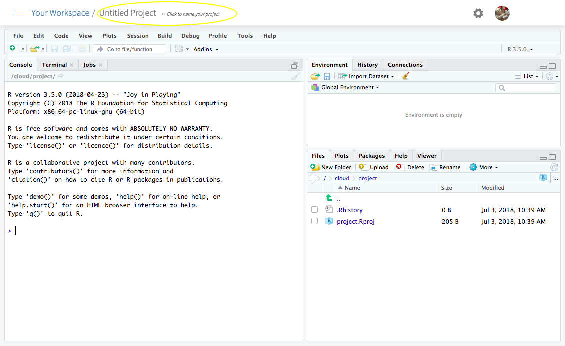 RstudioCloudの使い方 #RStudio - Qiita