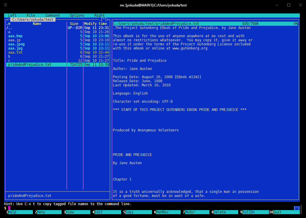 いい感じのCLI開発環境 #PowerShell - Qiita