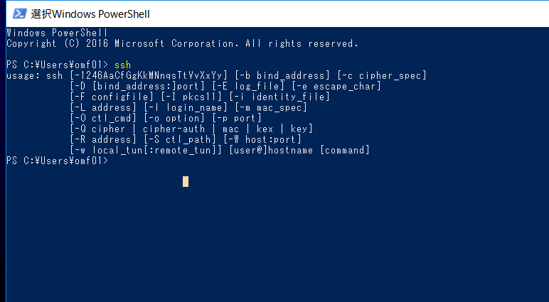 Windows10 + PowerShell + OpenSSH + Vagrant + Virtualbox + Visual Studio Code + Git で作るWeb ...