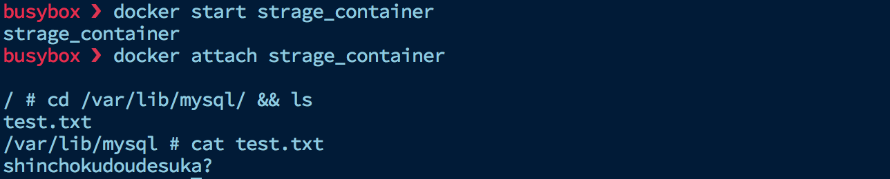 Dockerでmysqlのデータを保存する方法 Docker Qiita