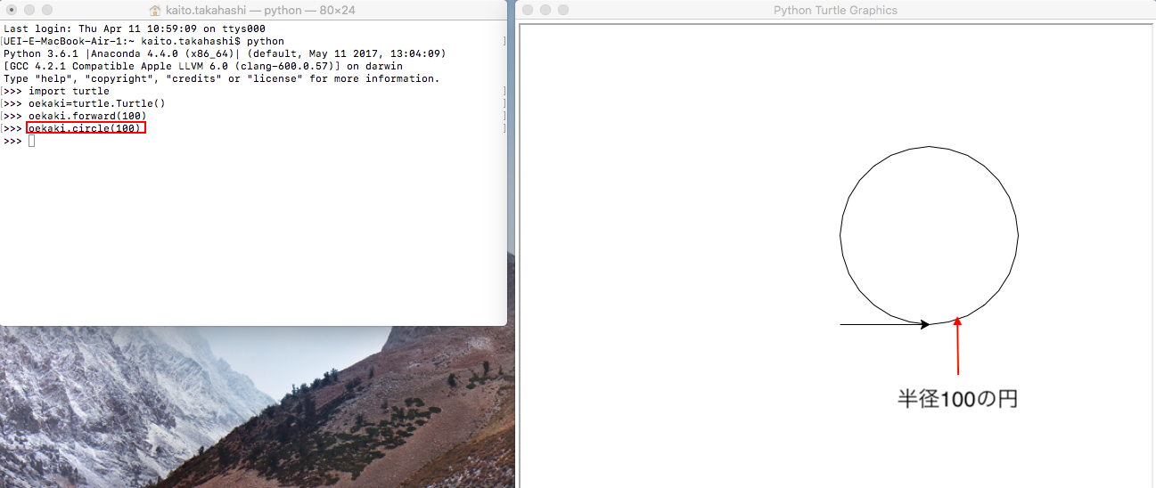 【初心者向け】Pythonでお絵かき #turtle - Qiita
