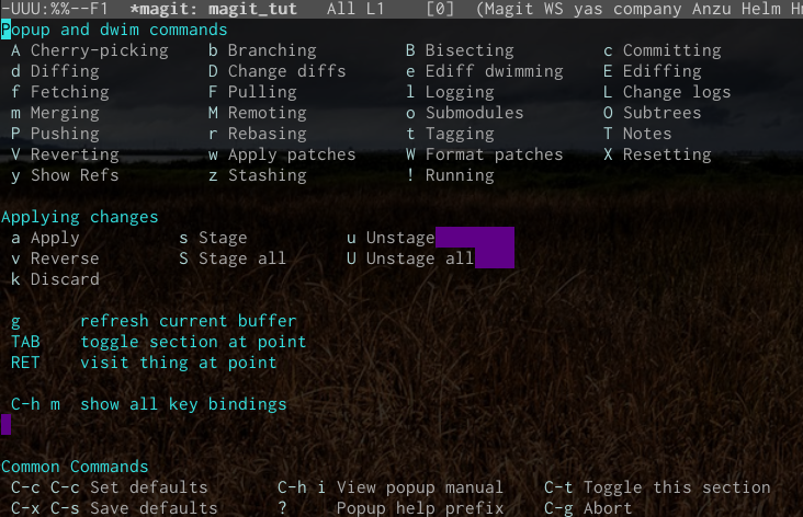 [Emacs] magitチュートリアル #Git - Qiita