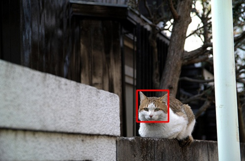 openCVで物体認識 by traincascade #Python - Qiita