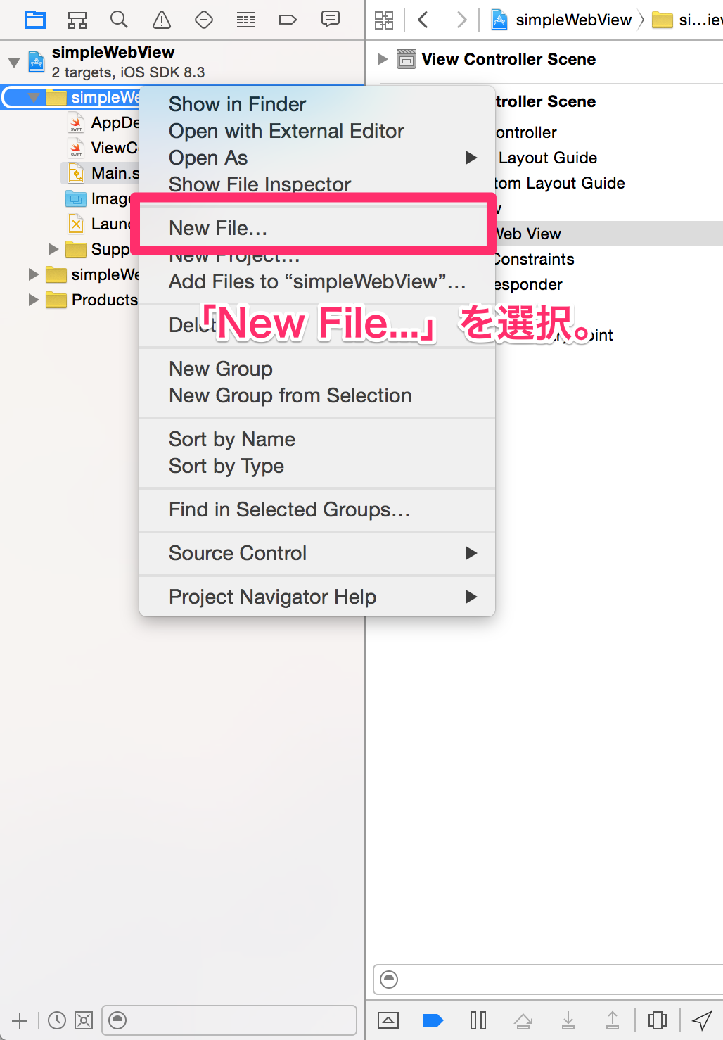 【詳説】初めてのiPhoneアプリ開発「簡単webViewアプリ」その① #Swift - Qiita