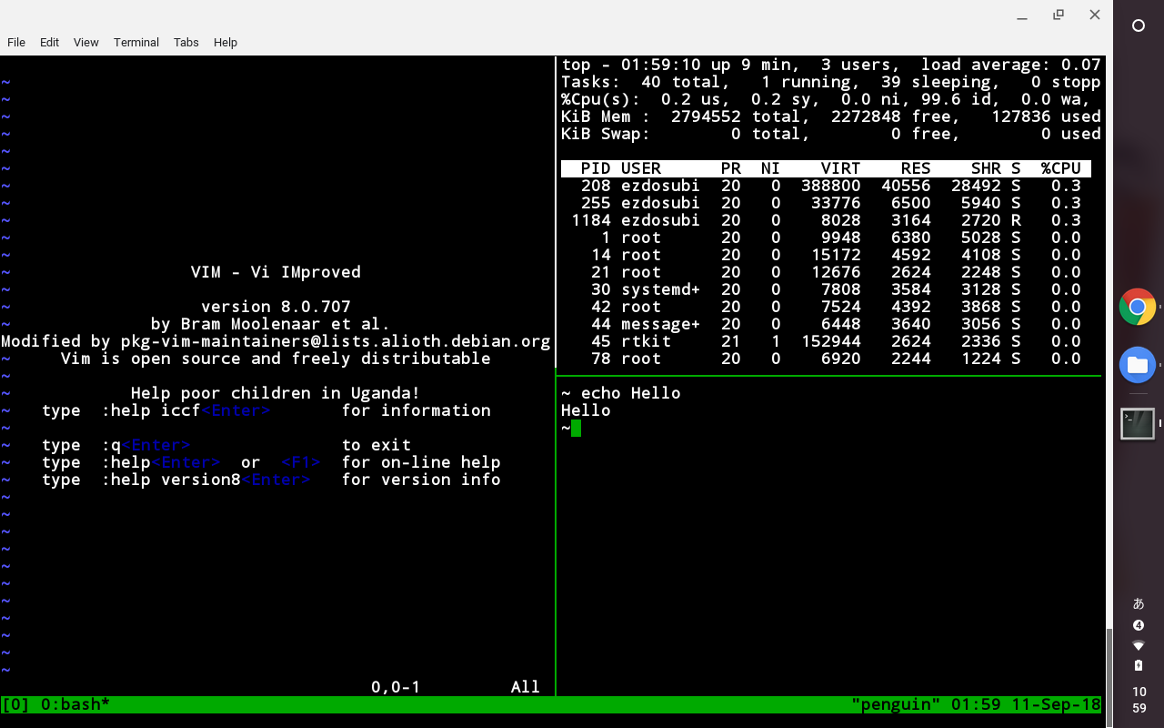 CrostiniのTerminalが物足りないのでxfce4-terminalを入れてみた #Linux - Qiita