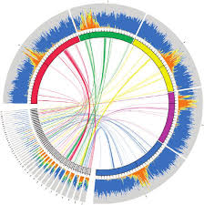 「data visualization」でググってやってみたいと思ったやつメモ #データビジュアリゼーション - Qiita
