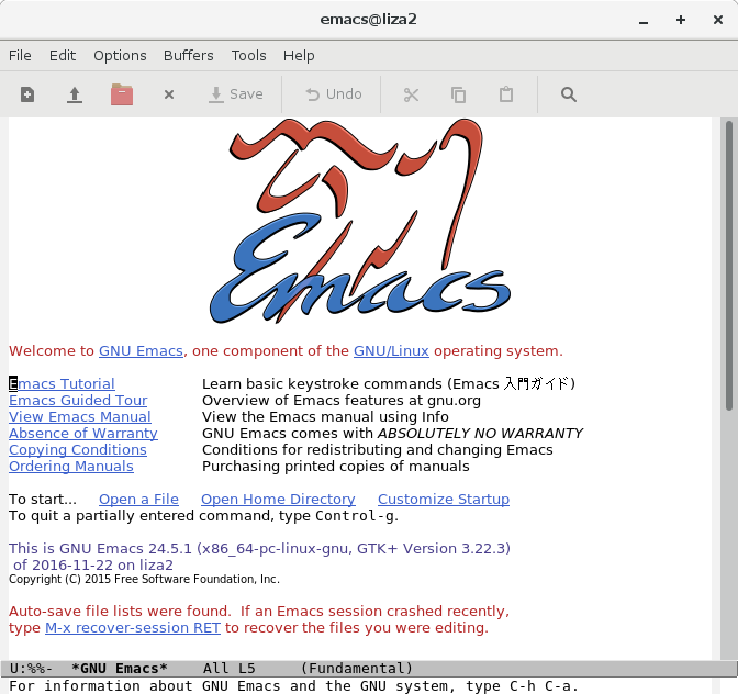Emacsの起動画面のカスタマイズについて #emacs-lisp - Qiita