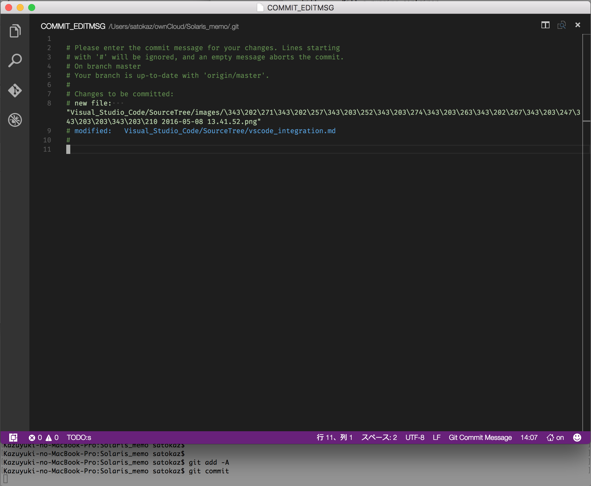 外部エディタ/Diff ツール（差分表示ツール）としての Visual Studio Code (git と SourceTree で使って ...