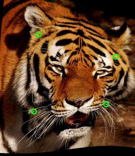 OpenCV3 Thin Plate Splineの使い方 #OpenCV - Qiita