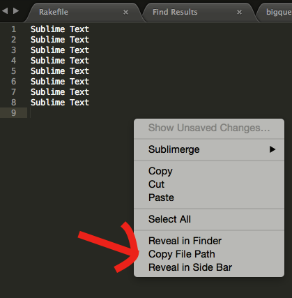 Sublime text | 「現在開いているファイル」のパスを得る #SublimeText - Qiita