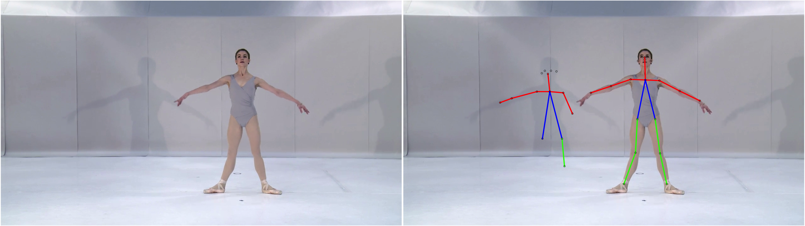 OpenPoseの出力をRで見てみる。 #R - Qiita