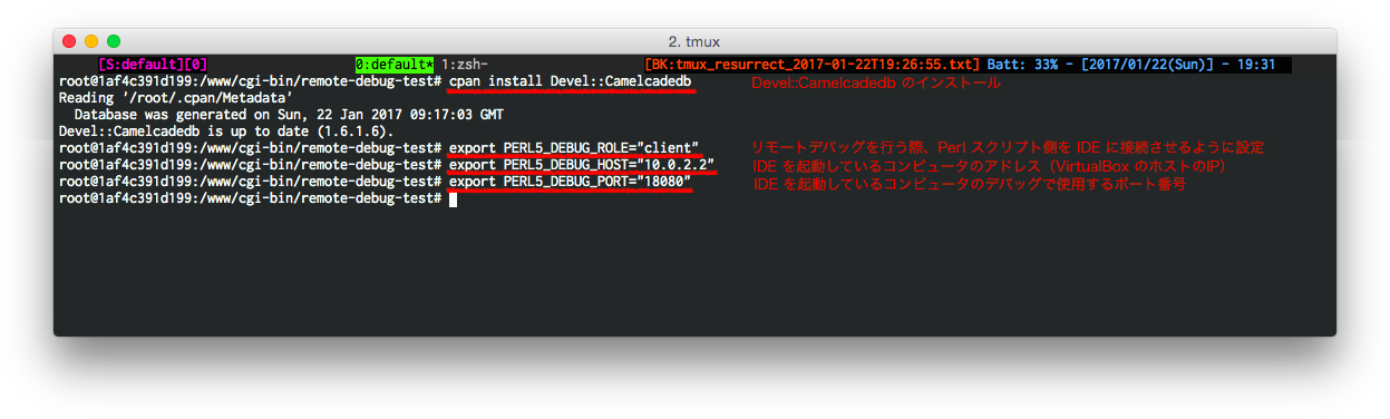 2017年 Perl5 との戦いに生き残るための最高の開発環境を手に入れる - リモートデバッグ 編 #JetBrains - Qiita
